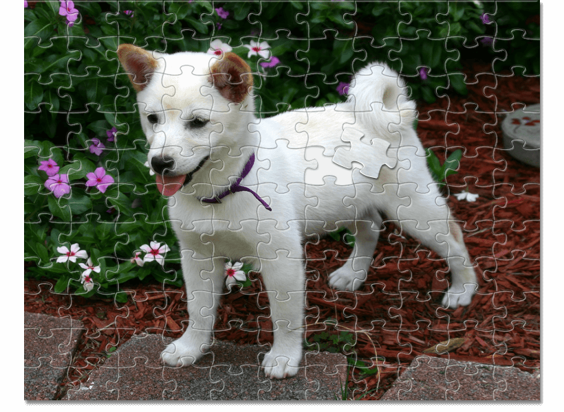 Six Unique Inexpensive Custom Printed Gift Ideas For Any Occasion Six Unique Inexpensive Custom Printed Gift Ideas For Any Occasion
